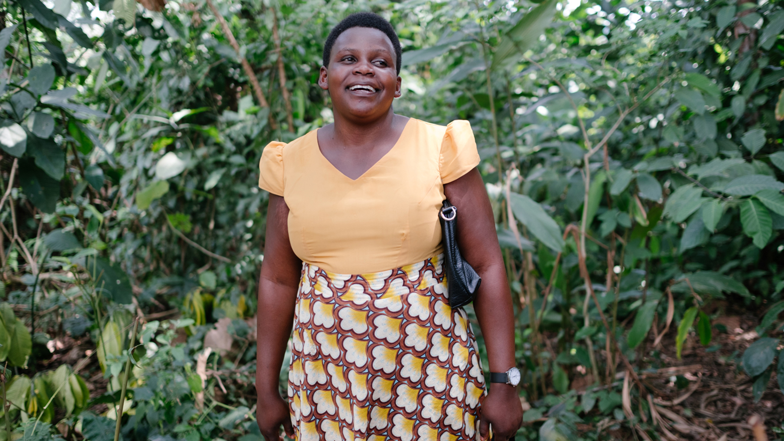 Ecosia's reforestation projects