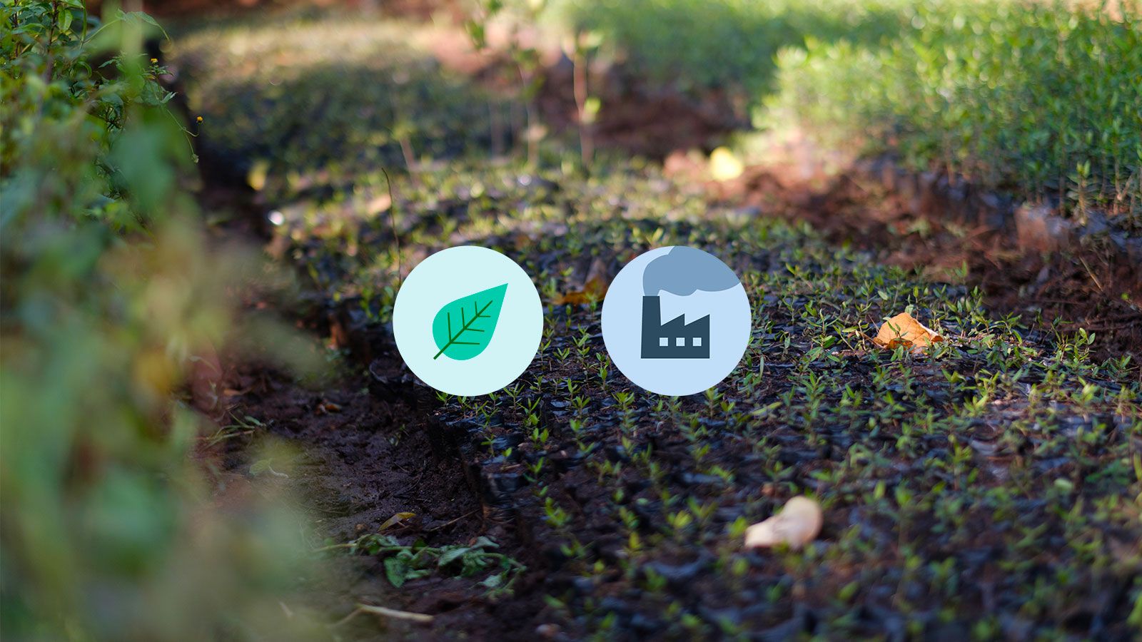 Introducing Green Search: make better decisions