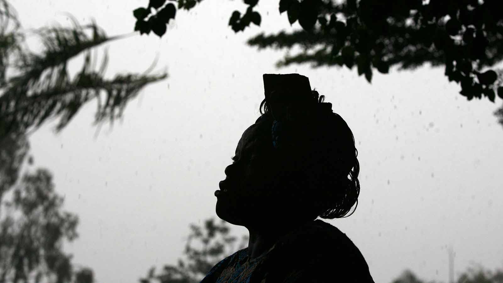 Wangari Maathai’s tree revolution