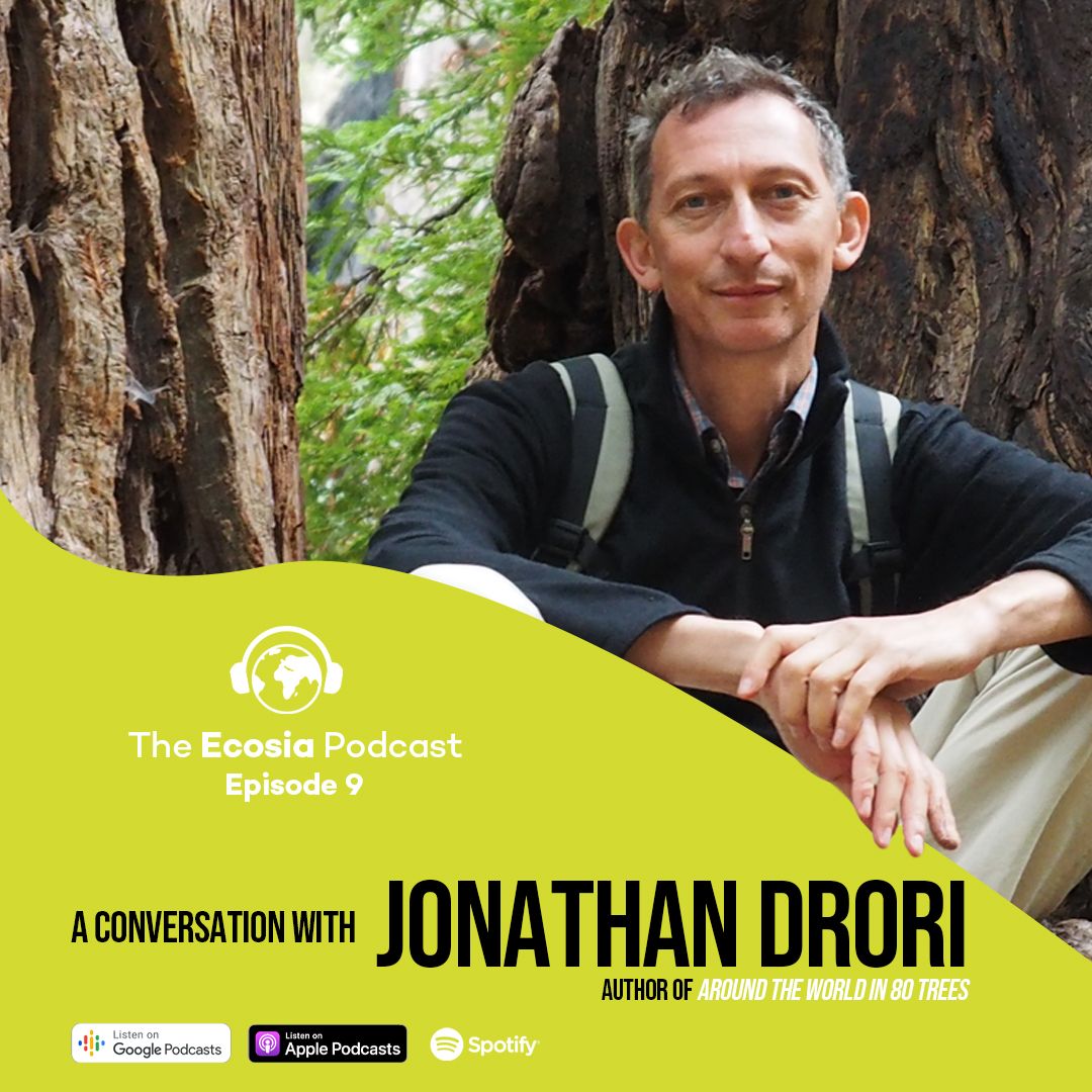 A botanical adventure