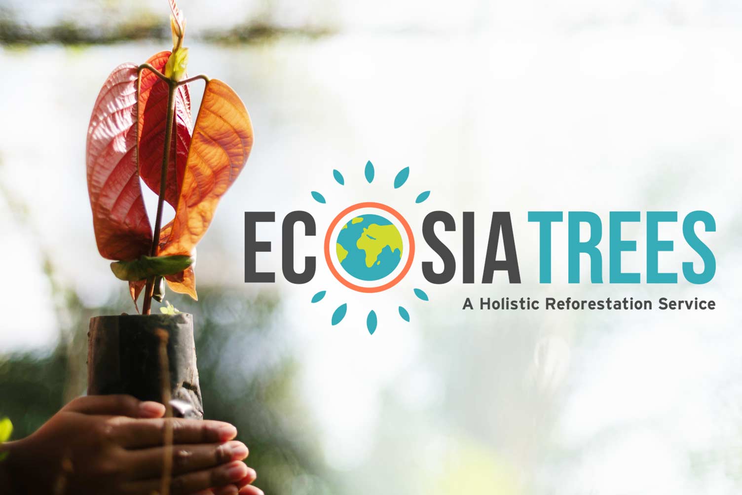 A holistic tree-planting service for your business