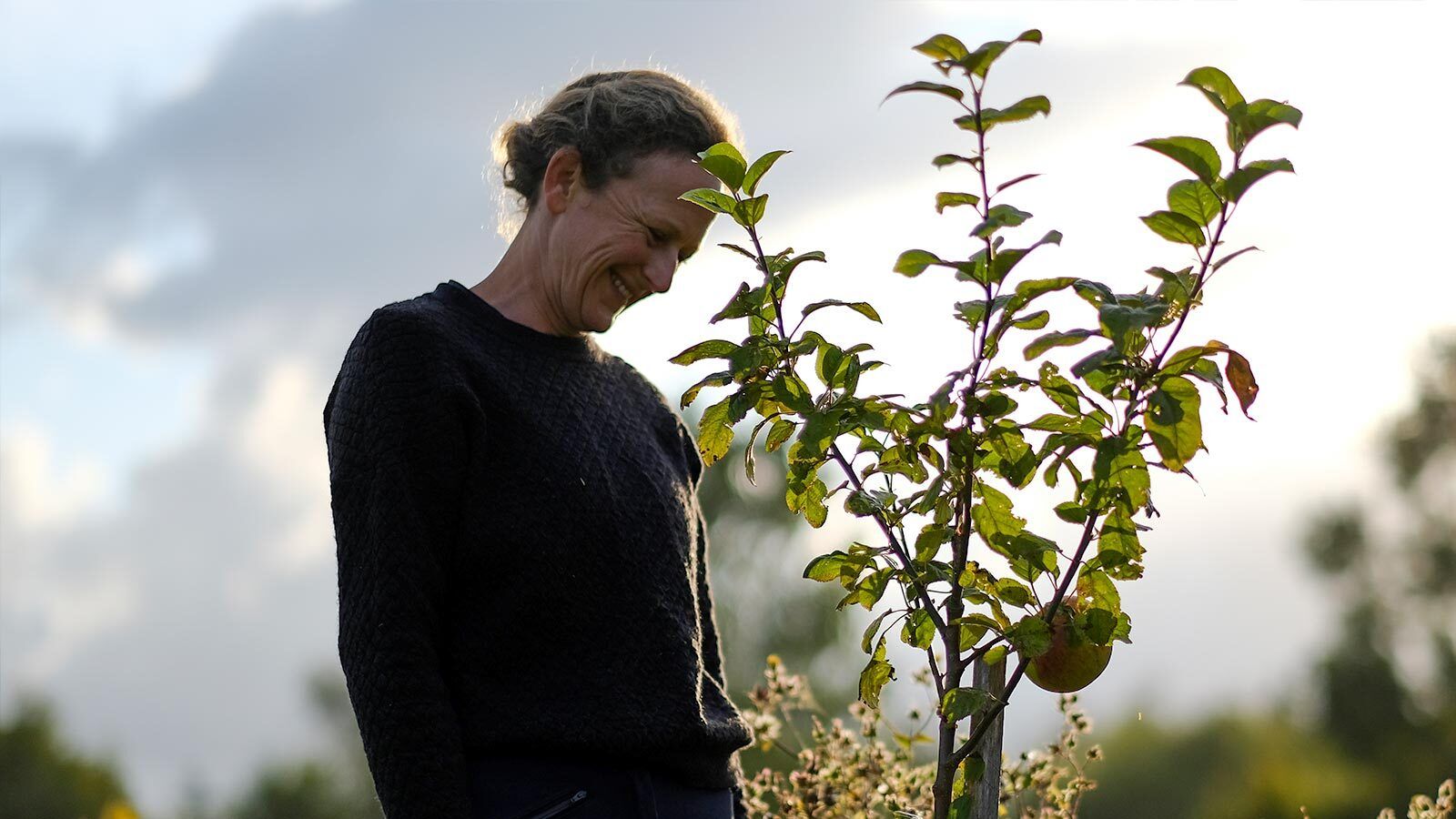 What agroforestry means, and why we support it