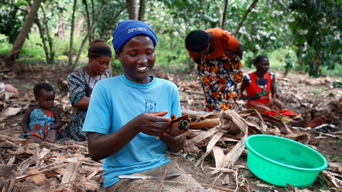 Tree-Planting Update: Episode 34