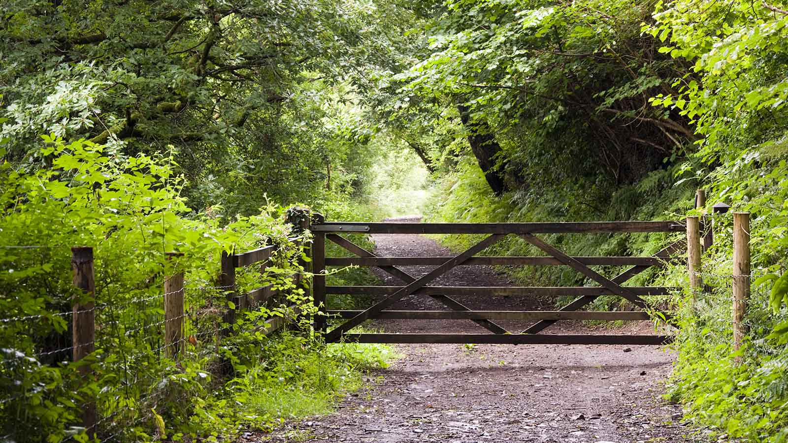 Protecting the right to wild camp in England