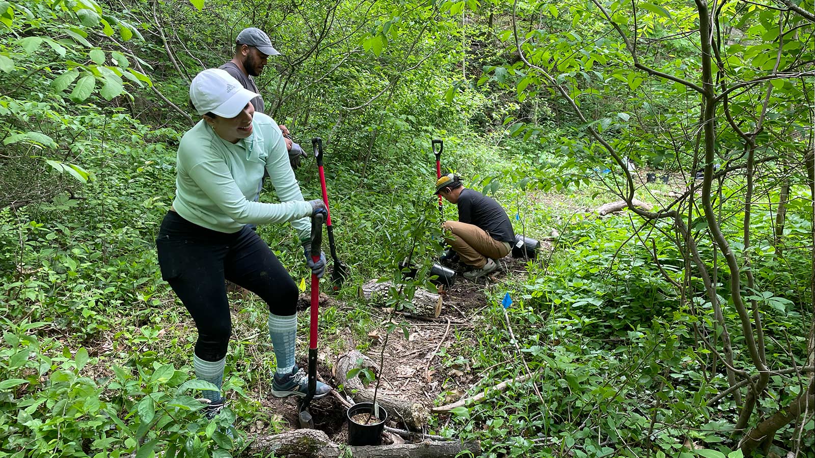 Climate justice in LA, Chicago, New York: introducing the Green Equity ...