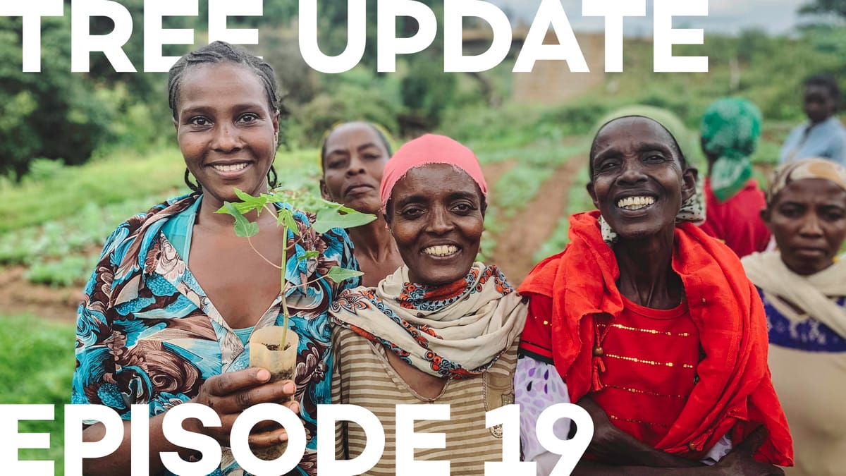 Tree Planting Update Episode 19