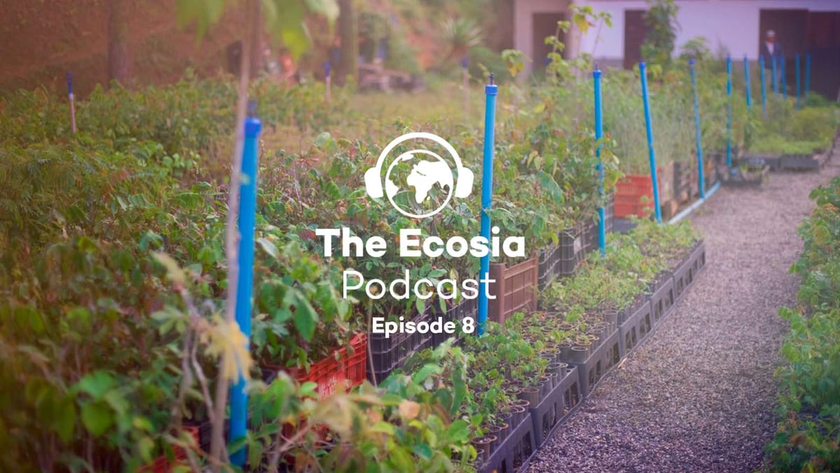 An Ecosia developer visits our reforestation project in Brazil