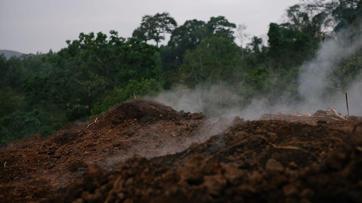 The Climate Crisis is a Health Crisis