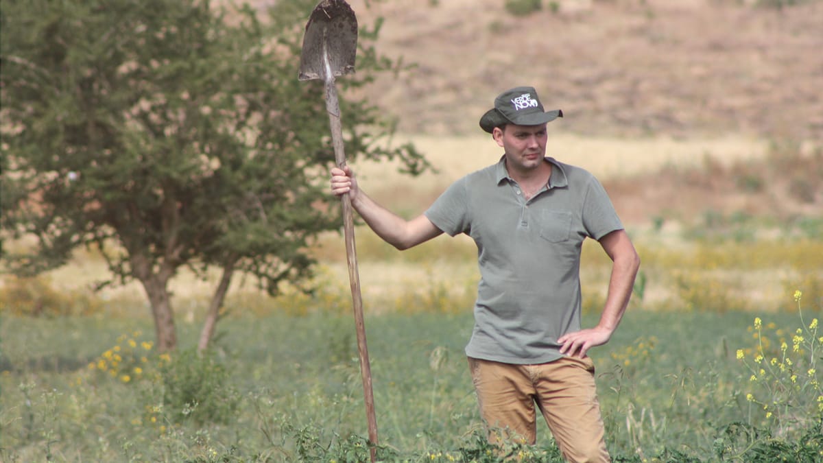 Tree-Planting Update: Episode 28