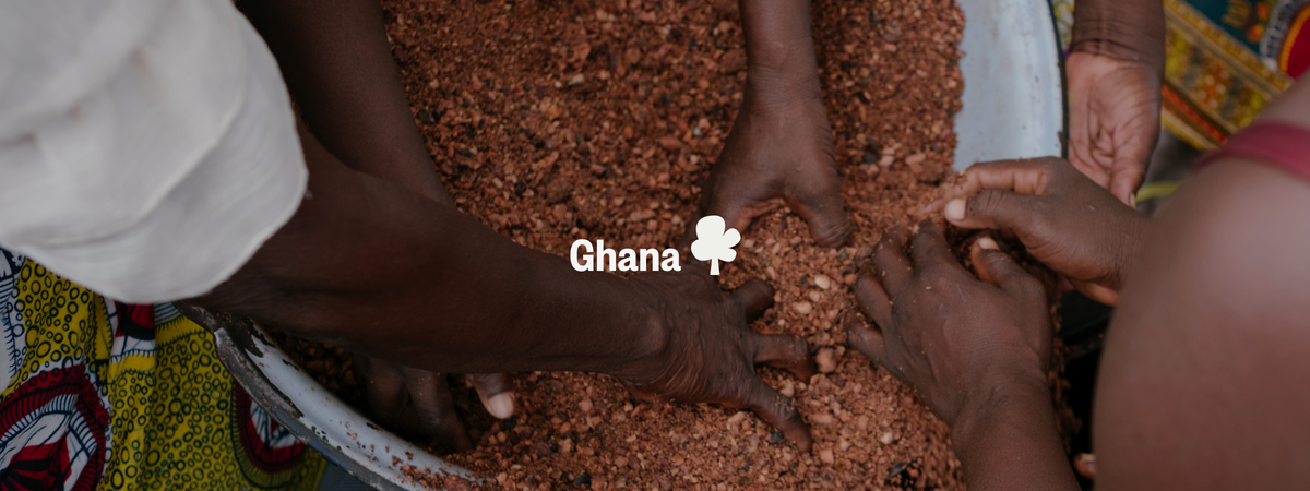 Ecosia's trees in Ghana