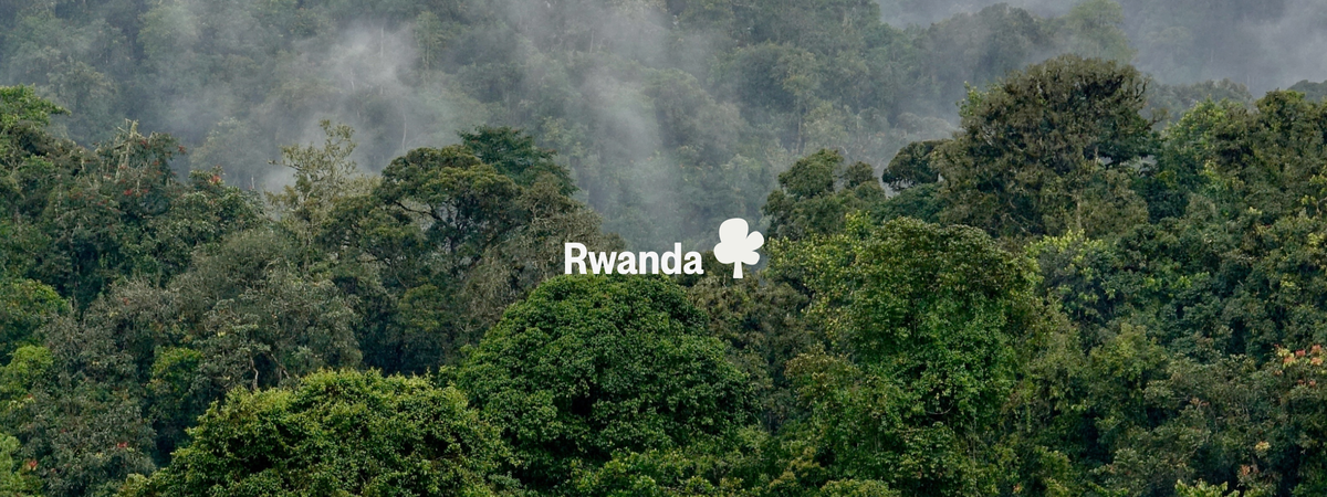 Your trees in Rwanda