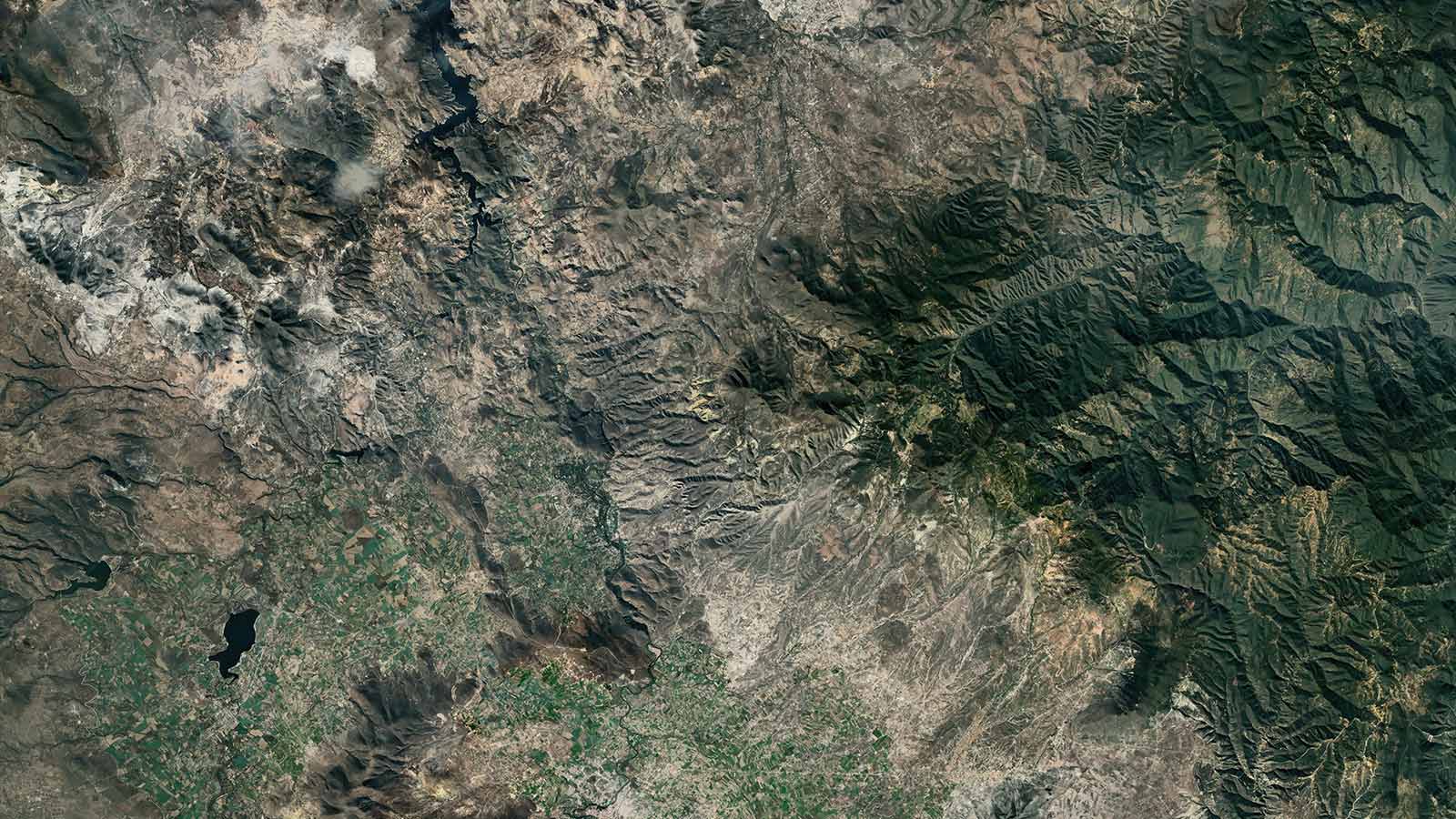 Could AI help us to tackle climate change?