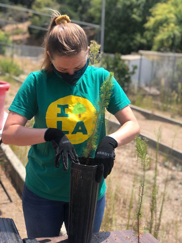 Our new LA project is about urban trees with social impact