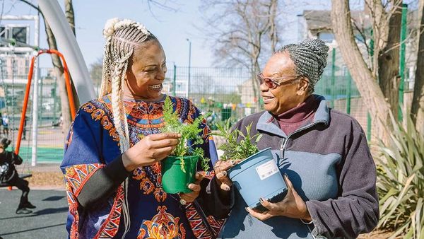 From LA to London: why we’re planting urban trees