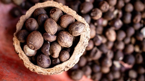 How we're protecting and restoring Brazil's forests