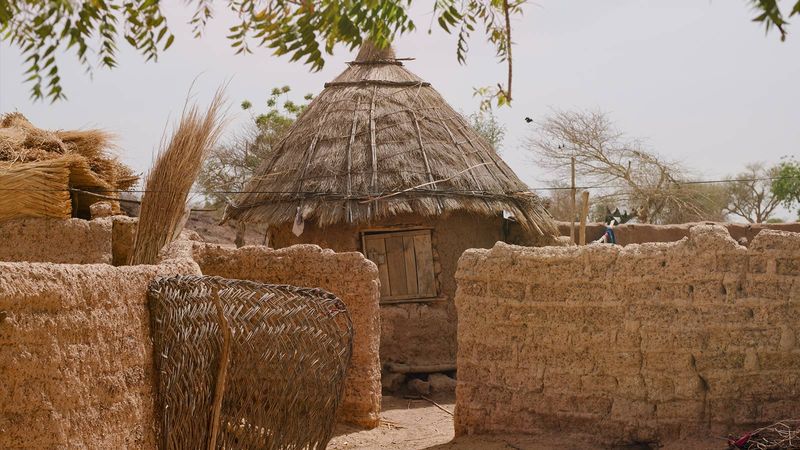 Ecosia's reforestation efforts in Burkina Faso