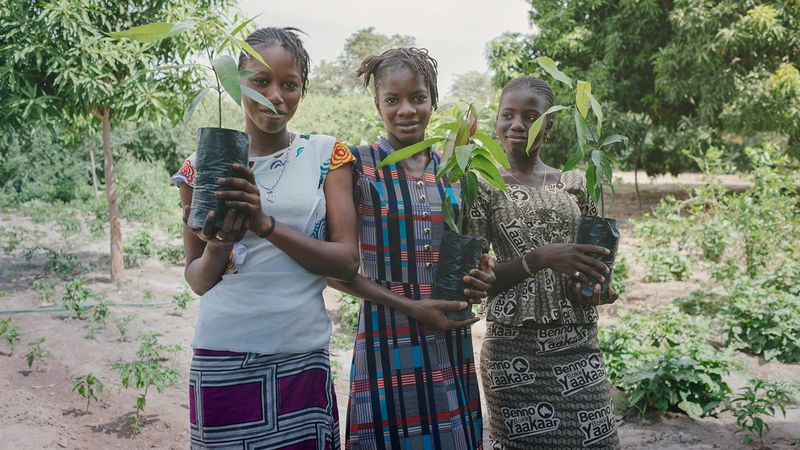 Choose the planet, choose Ecosia: why you’re going to be asked to pick ...