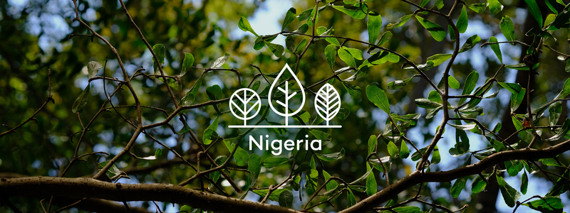 Where Ecosia plants trees | Projects by country