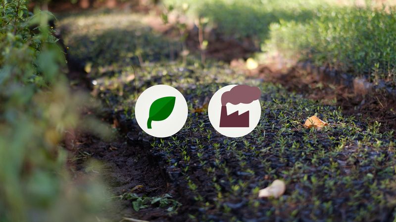 About the Ecosia Search Engine